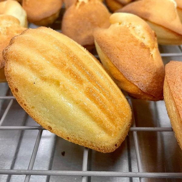 French Madeleines (on order) – TINA'S